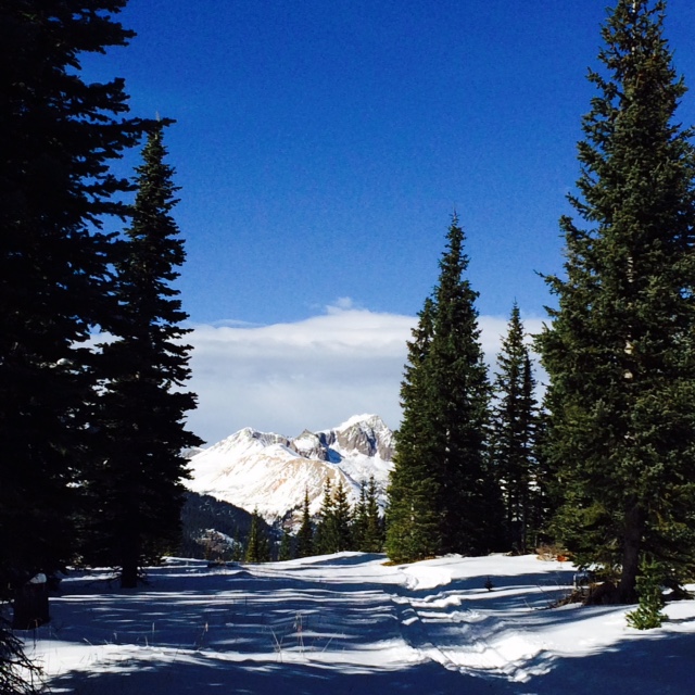 First Day On The Trails! | Snowmobile Durango